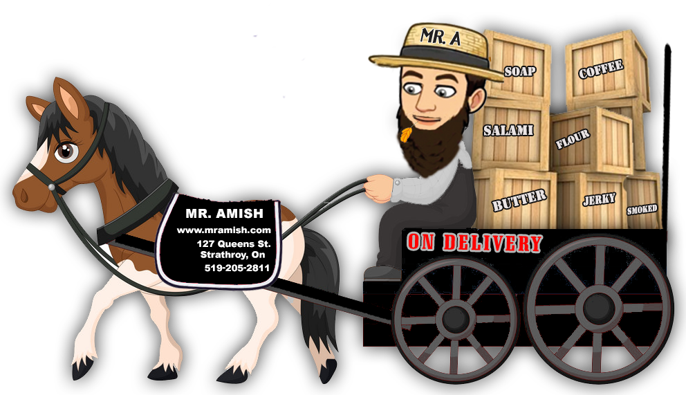 Mr. Amish